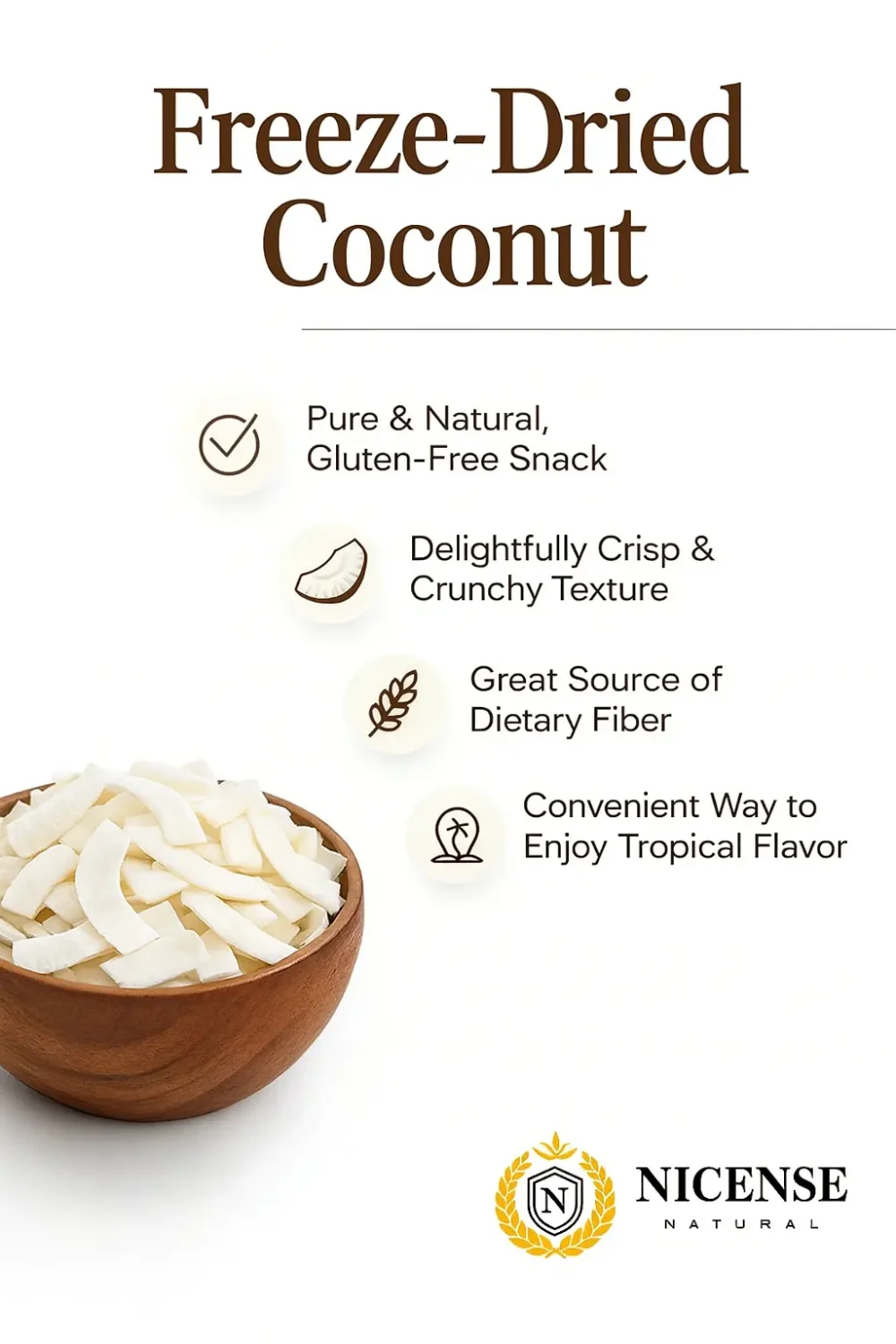 Nicense Freeze Dried Coconut Slices 140g Jar – Light & Crunchy Coconut ...